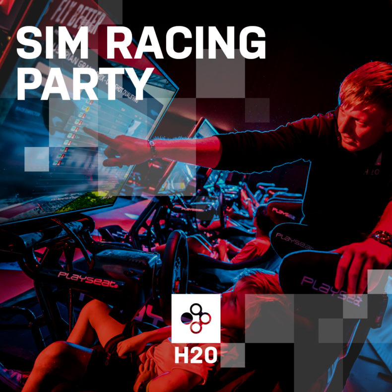 Sim Racing Experience voor kinderen! Een super ervaring!